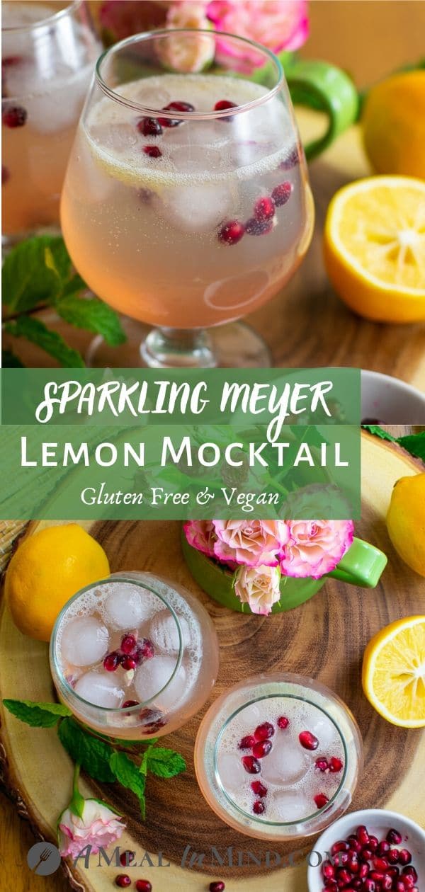 Sparkling Meyer Lemon Mocktail - A Meal In Mind